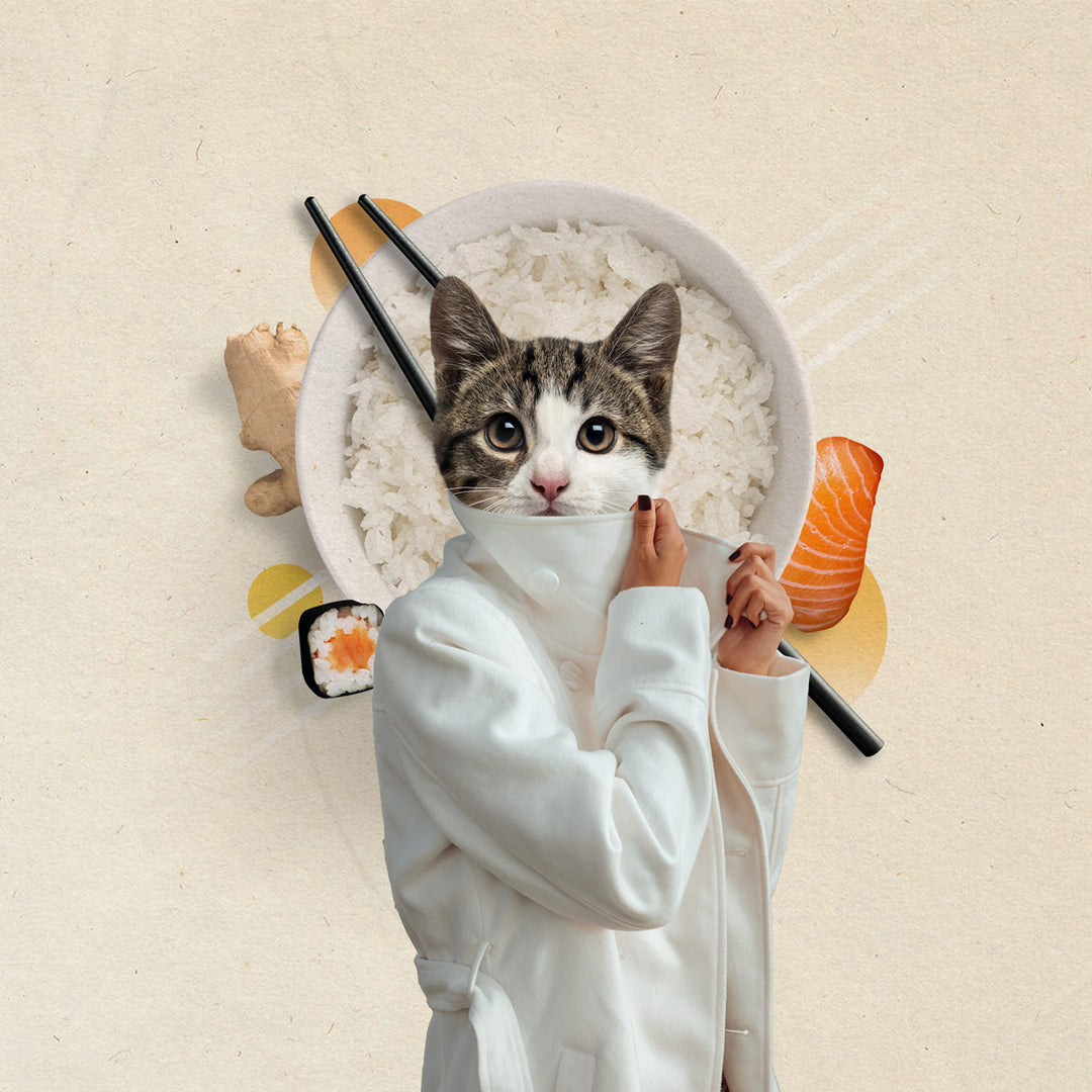 Das Restaurant – Finn.Wien